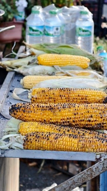 Cornhole Champs: Easy Setup & Rules to Dominate Your Backyard!